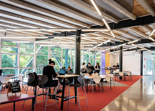 Projects | Milne Project Management